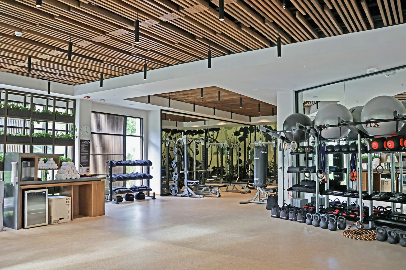 Adventurous Escapade: The Ultimate Jungle Gym at Botánika